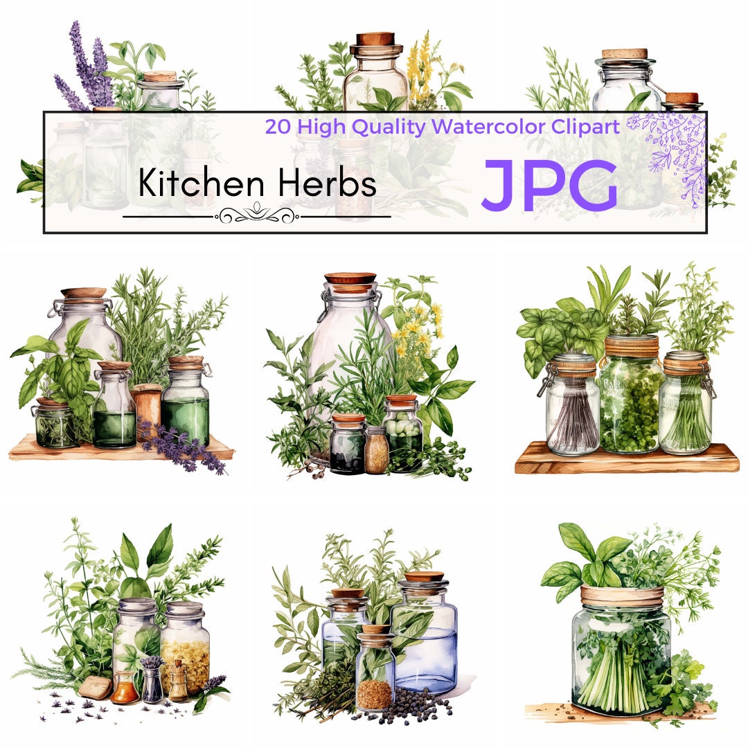 Watercolor Kitchen Herbs Clipart, Herbs Illustration Kitchen Decor ...