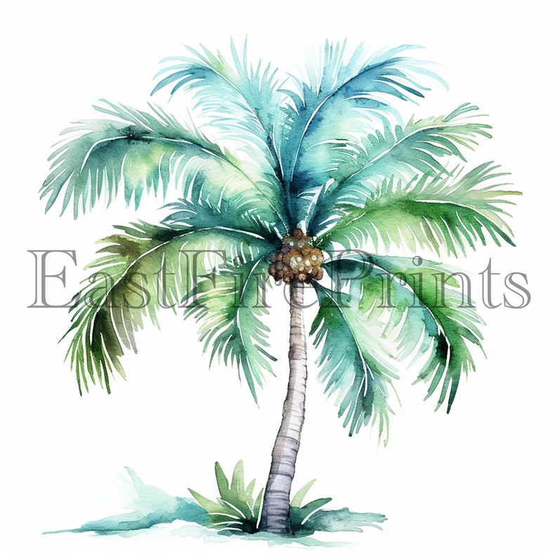 Watercolor Palm Trees Clipart PNG Hawaii Themed Tropical - Etsy