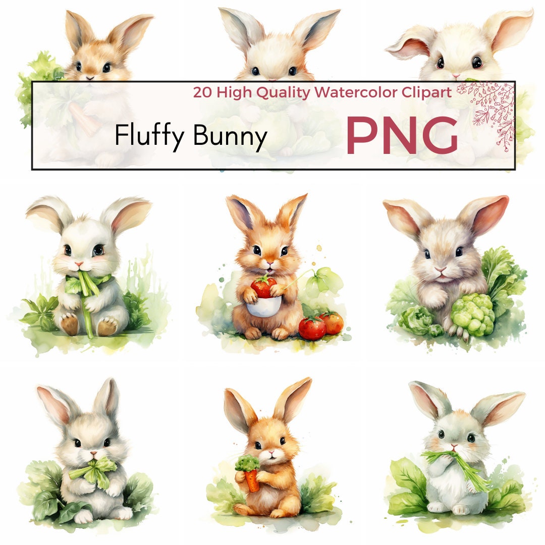 Fluffy Bunny Clipart, High Quality PNG, Spring PNG, Easter PNG, Rabbit ...