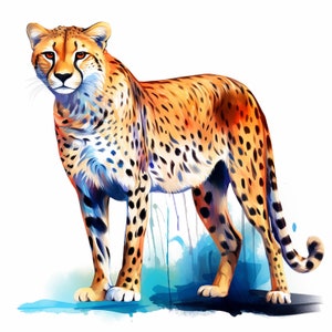 Cheetah Clipart, High Quality PNG, Safari Animals Clipart, Cheetah Art ...