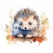 20 Watercolor Hedgehog Clipart Bundle | Hedgehog Wall Art, Hedgehog ...