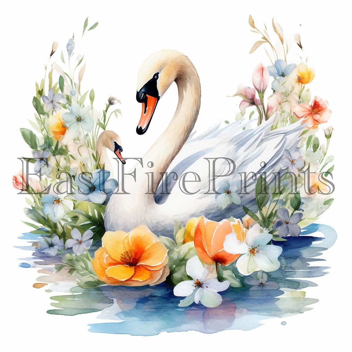 20 Watercolor Swan Clipart PNG Baby Swan Bird Nursery - Etsy