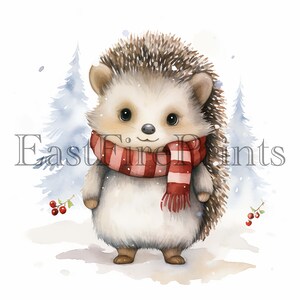 Watercolor Christmas Baby Hedgehog Clipart, High Quality Png, Winter ...