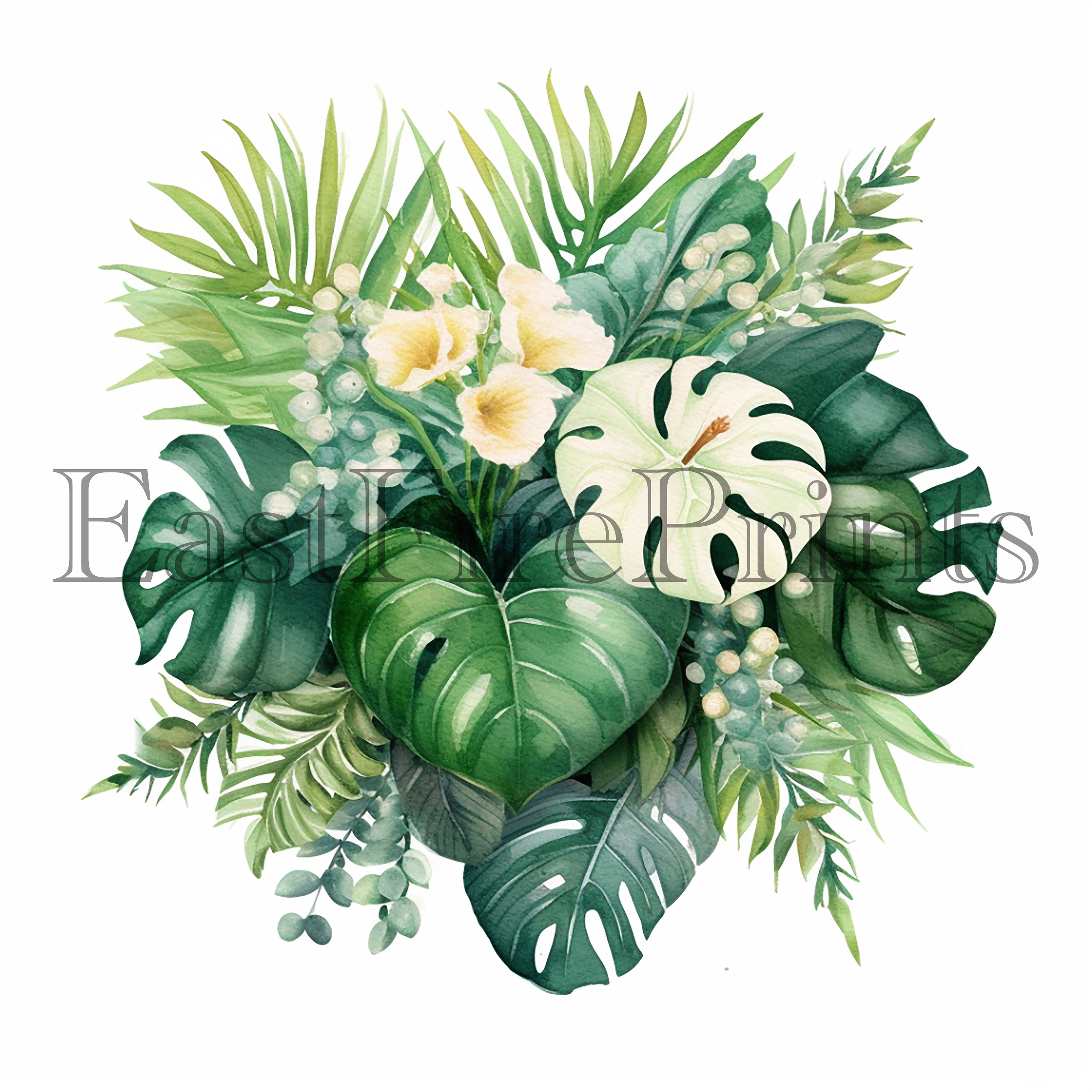 20 Watercolor Monstera Clipart Set Tropical Leaf PNG - Etsy