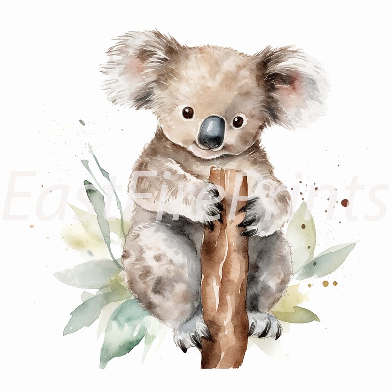 20 Watercolor Koala Bear Clipart Set Cute Koala PNG Koala - Etsy