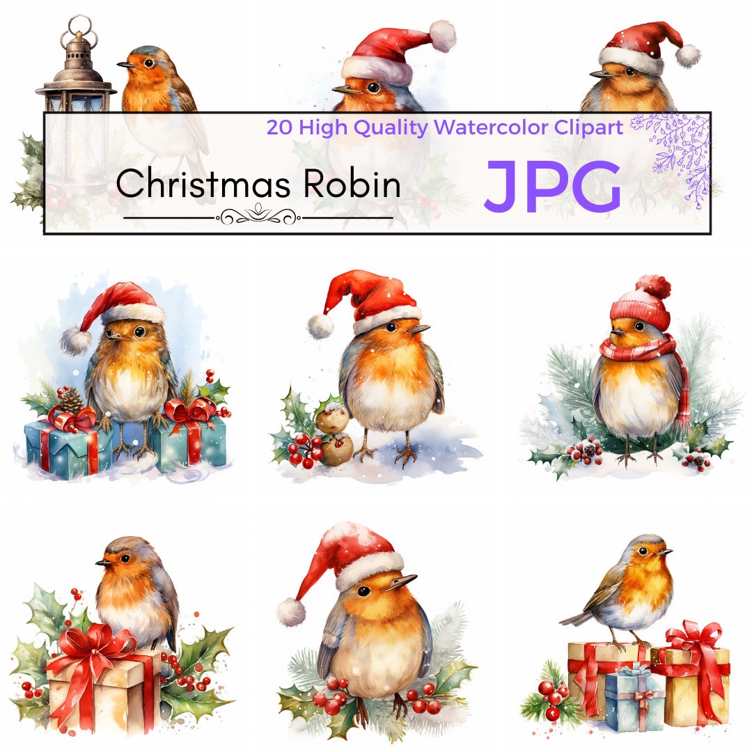 Watercolor Christmas Robin Clipart, High Quality JPG, Christmas Clipart ...