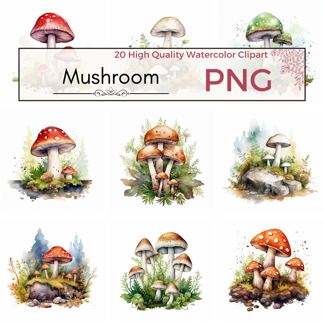 19 Watercolor Mushroom Clipart PNG, Cute Forest Nature Clipart ...