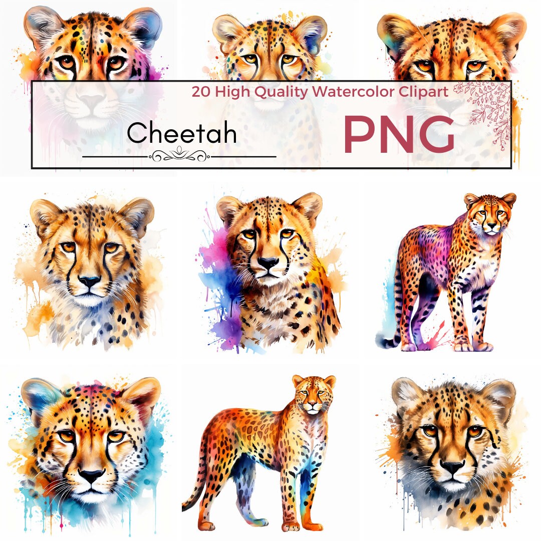Cheetah Clipart, High Quality PNG, Safari Animals Clipart, Cheetah Art ...