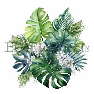 20 Watercolor Monstera Clipart Set - Tropical Leaf PNG - Digital ...