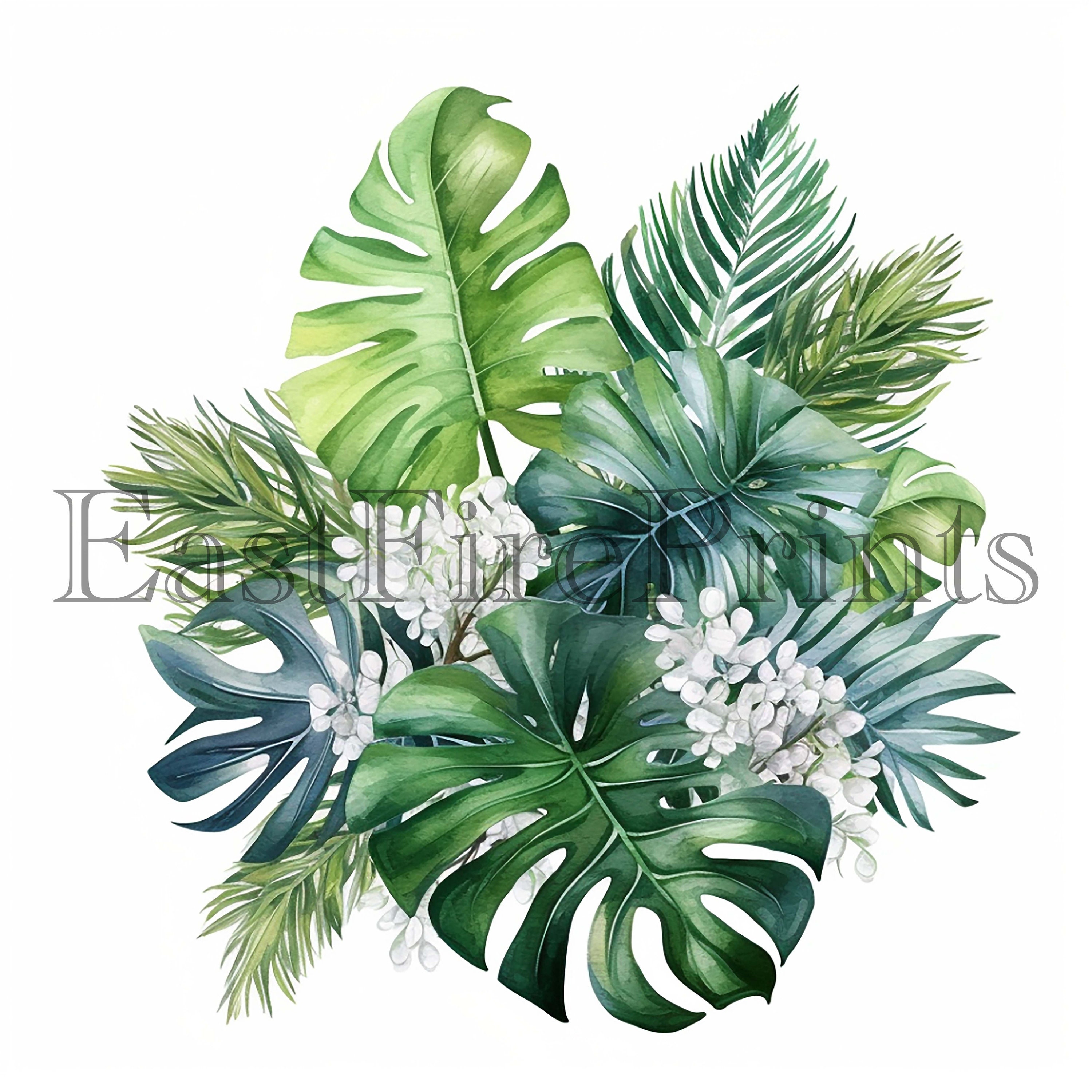 20 Watercolor Monstera Clipart Set Tropical Leaf PNG - Etsy