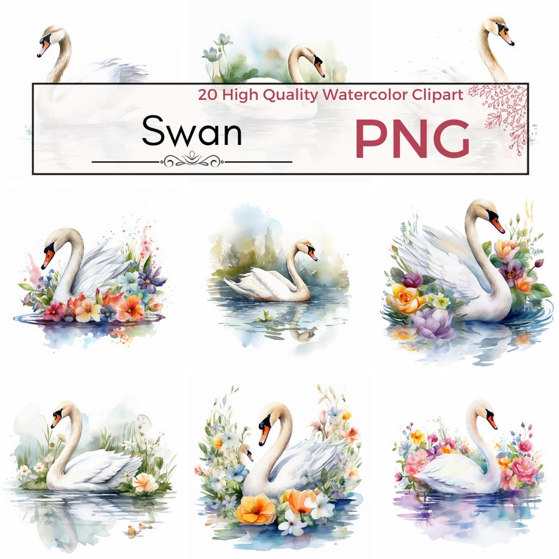 20 Watercolor Swan Clipart PNG Baby Swan Bird Nursery - Etsy