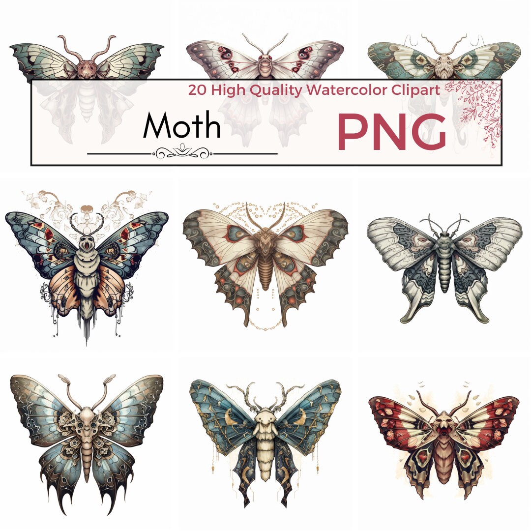 Skull Moth Clipart PNG, Death's Head Moth Clip Art, Gothic Clipart ...