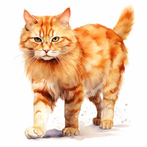 Orange Cat Clipart, High Quality PNG, Cute Kitten Clipart, Cat ...