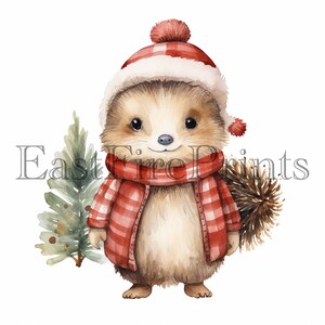 Watercolor Christmas Baby Hedgehog Clipart, High Quality Png, Winter ...