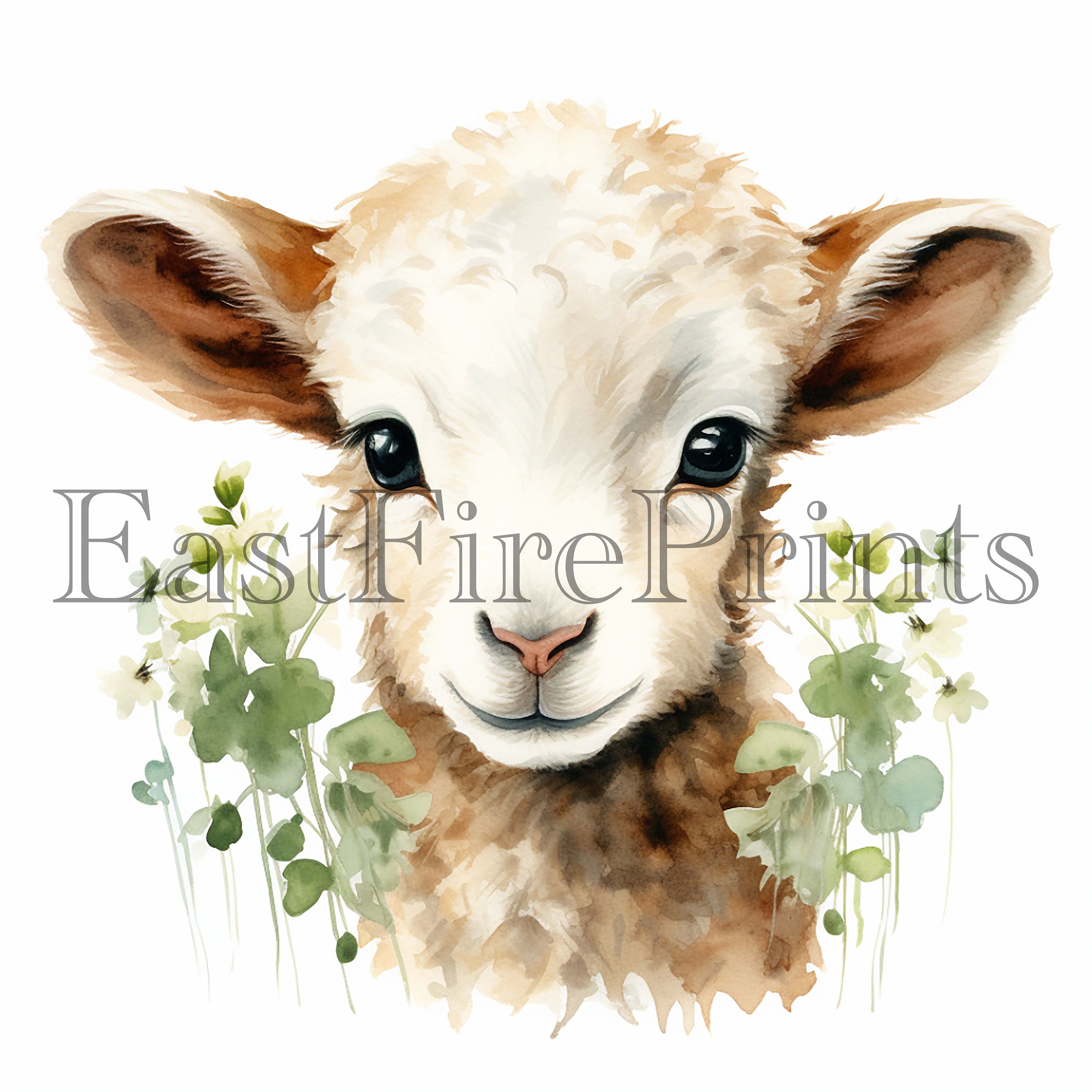 20 Baby Lamb Watercolor Clipart High Quality Png Cute Farm - Etsy
