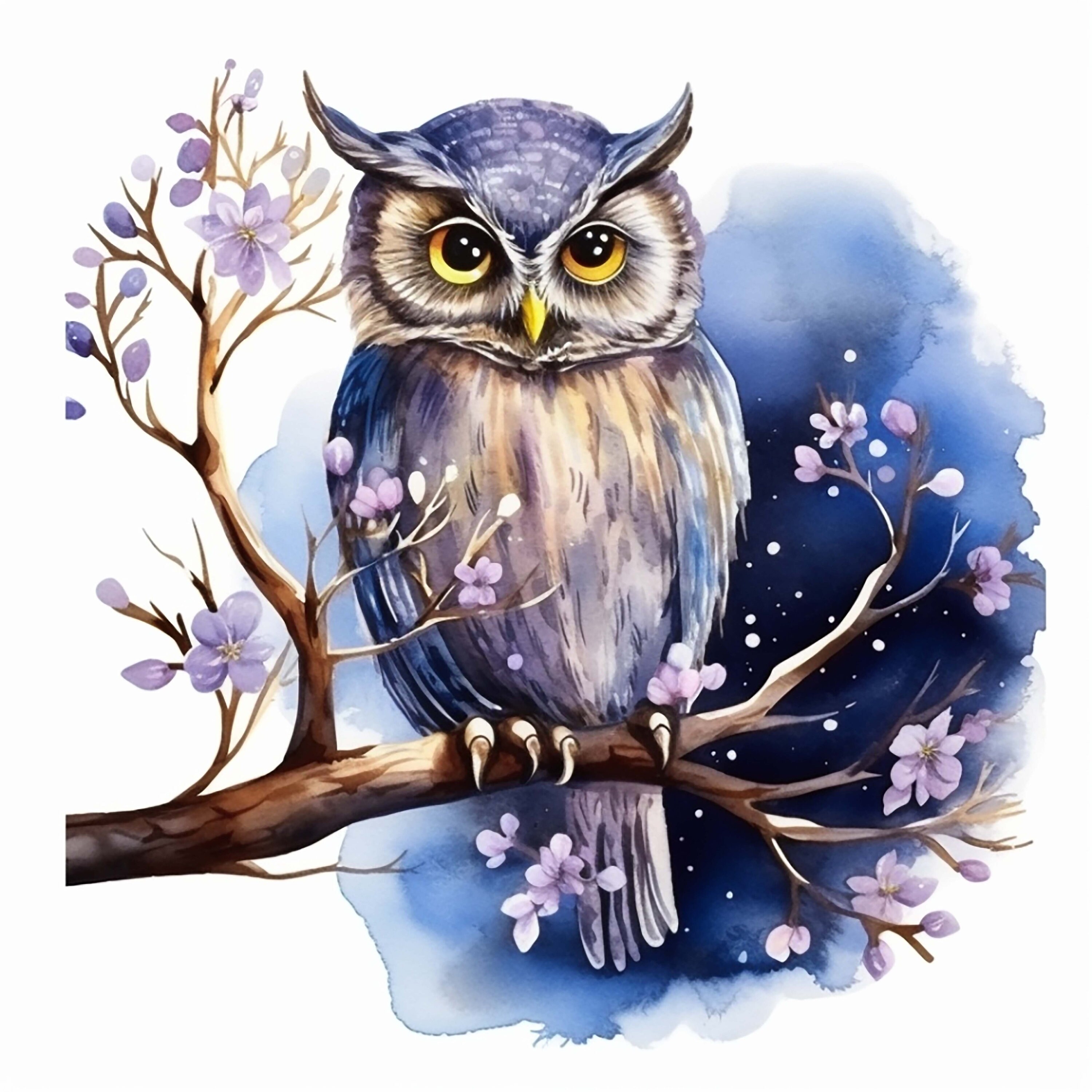 Watercolor Celestial Owl Clipart Galaxy Fantasy Owl Clip Art - Etsy