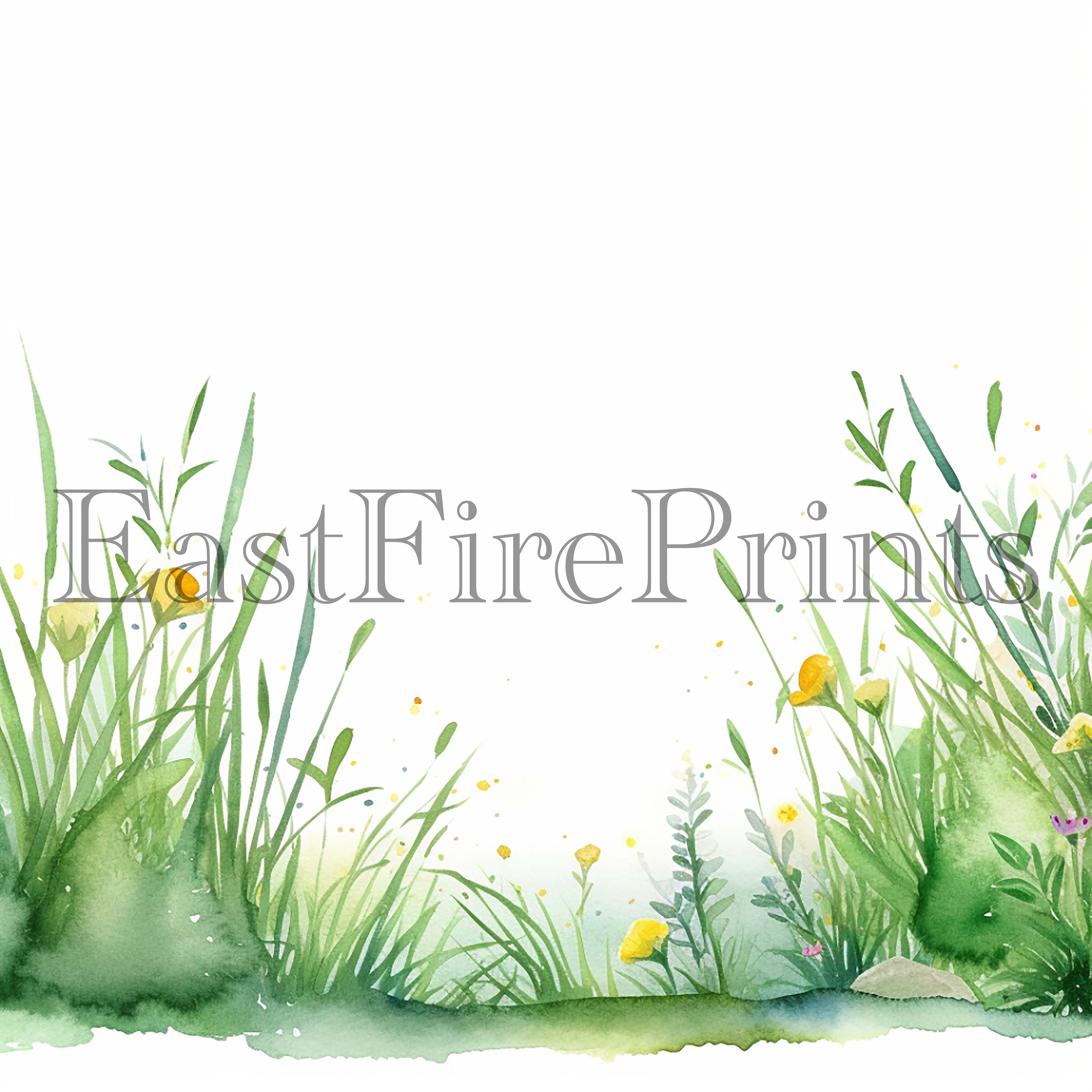 20 Watercolor Spring Grass Clipart Set Grass Illustrations - Etsy