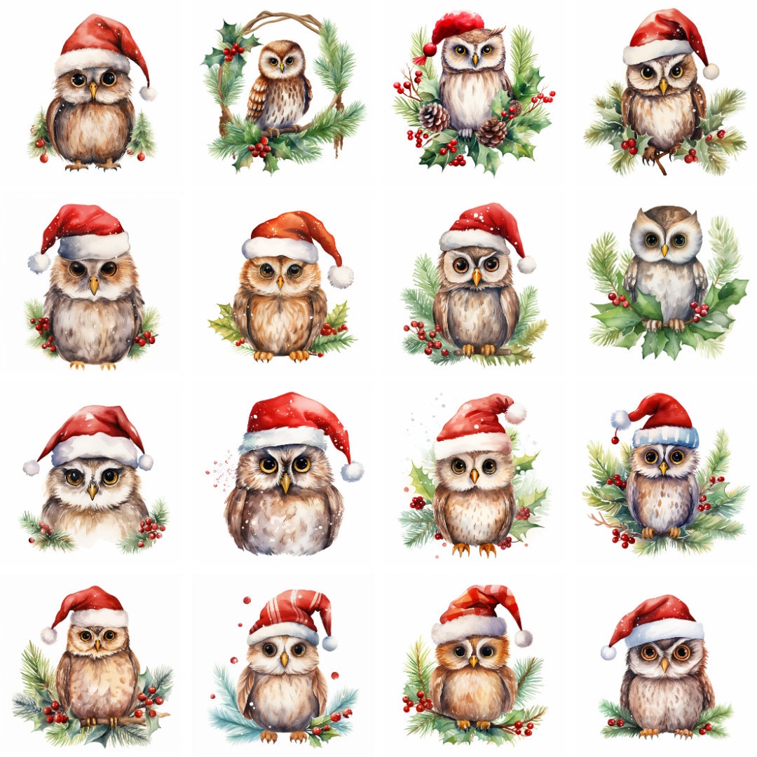 20 Christmas Cute Owl Watercolor Clipart, High Quality Png, Cute Xmas ...