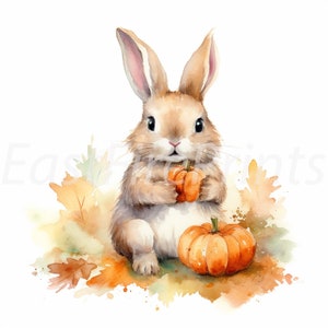 Watercolor Autumn Clipart Set Card Making, 18 PNG Images, Fall Clipart ...