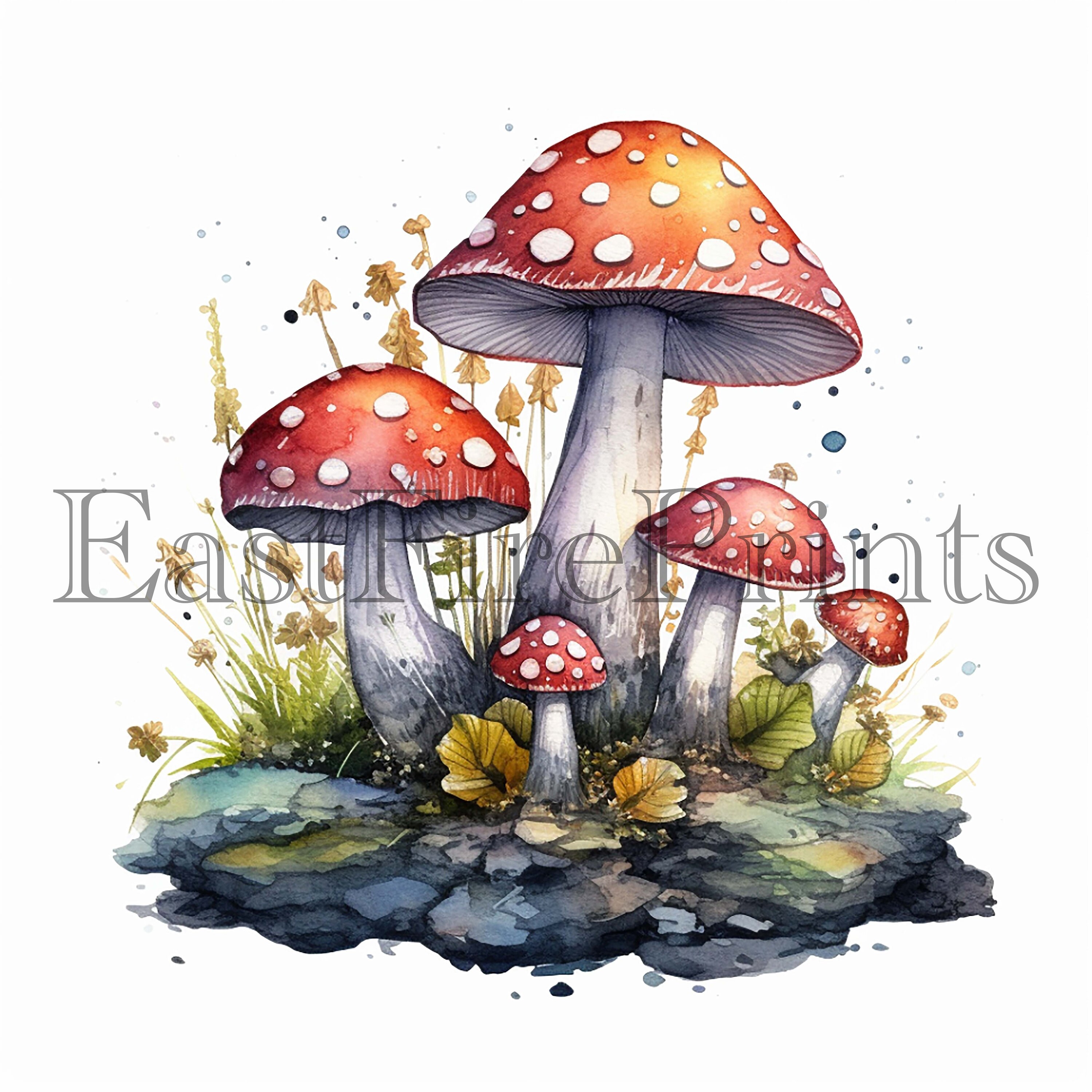 19 Watercolor Mushroom Clipart PNG Cute Forest Nature - Etsy