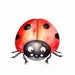 Ladybug Clipart, High Quality PNG, Insect Art, Lady Bug Graphics, Bug ...