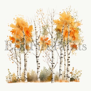 Watercolor Fall Birch Trees Clipart PNG, Autumn Birch Tree Forest Clip ...