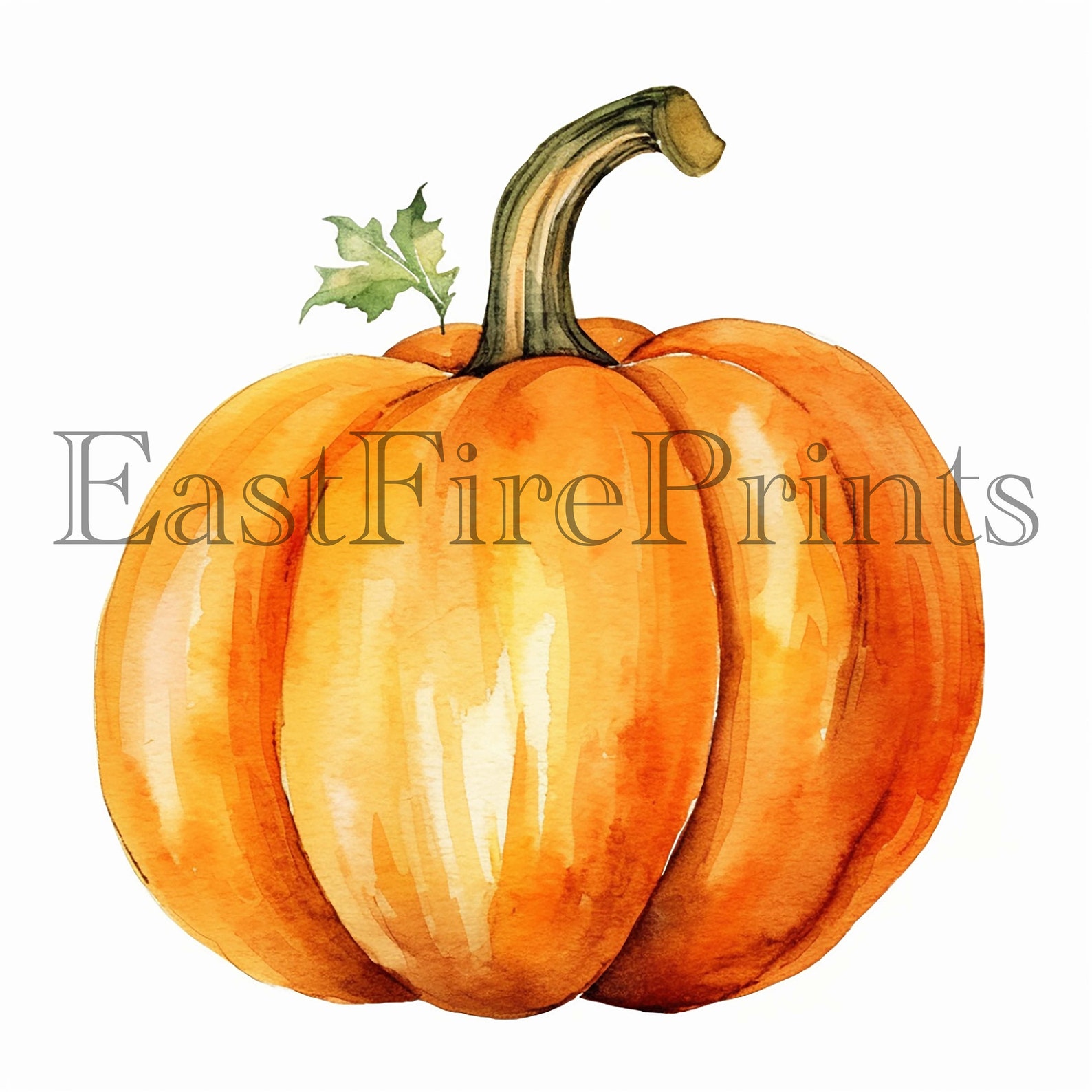 20 PNG Watercolor Pumpkin Clipart Instant Download Fall - Etsy