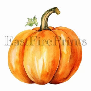 20 PNG Watercolor Pumpkin Clipart Instant Download, Fall Clipart ...