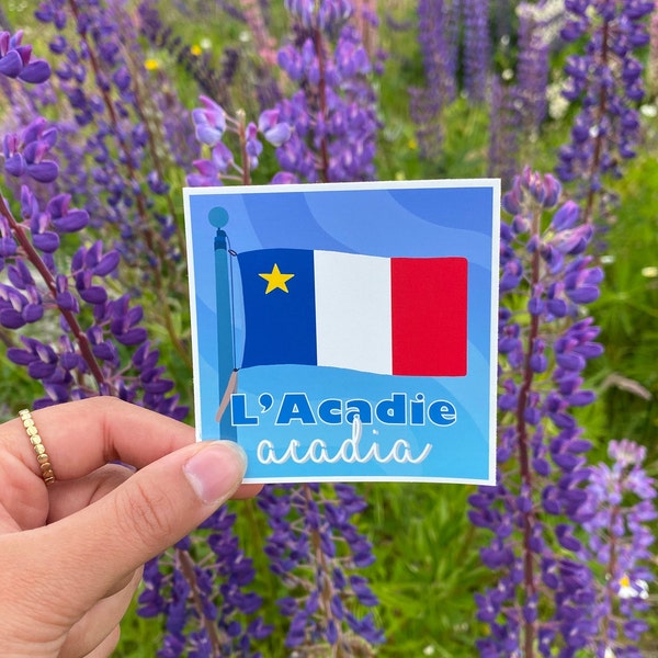 Acadian Flag - Etsy