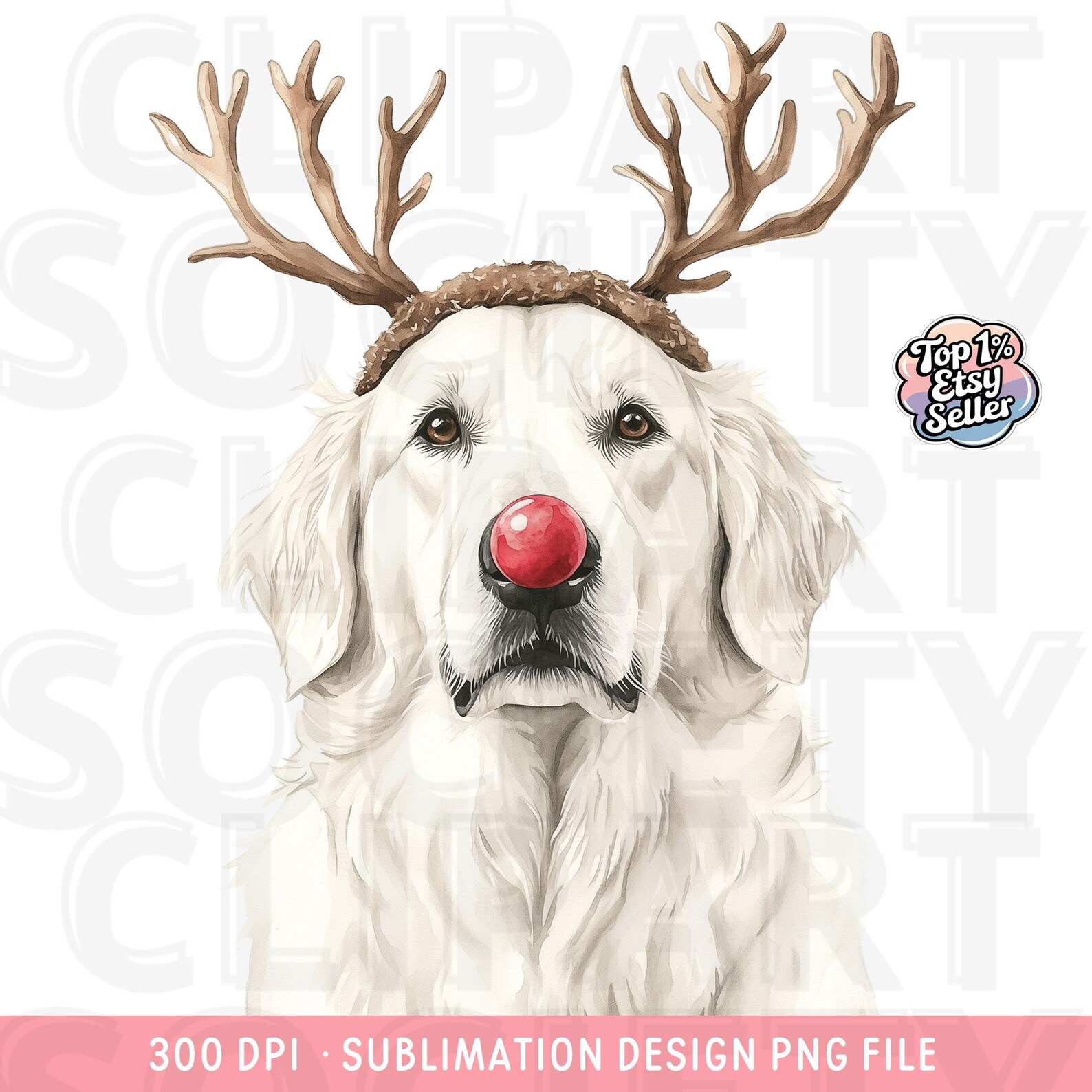 Christmas Pyrenees Dog PNG Clipart, Christmas Dog PNG, Watercolor ...