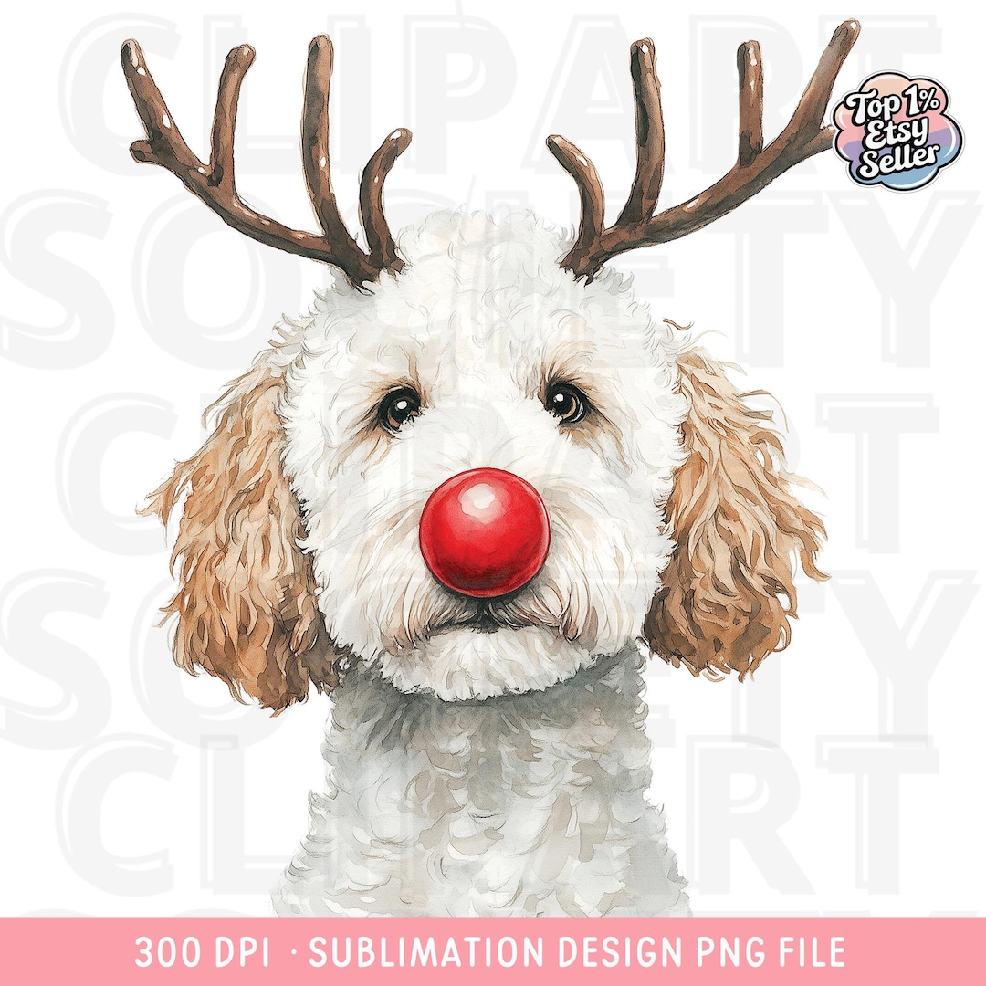 Christmas White Goldendoodle PNG Clipart, Christmas Dog PNG, Watercolor ...
