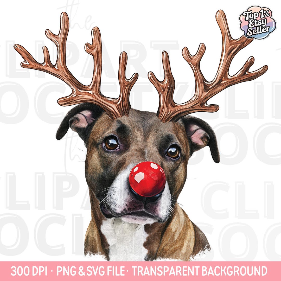 Christmas Staffordshire Terrier PNG Clipart, Watercolor Staffy Mix ...