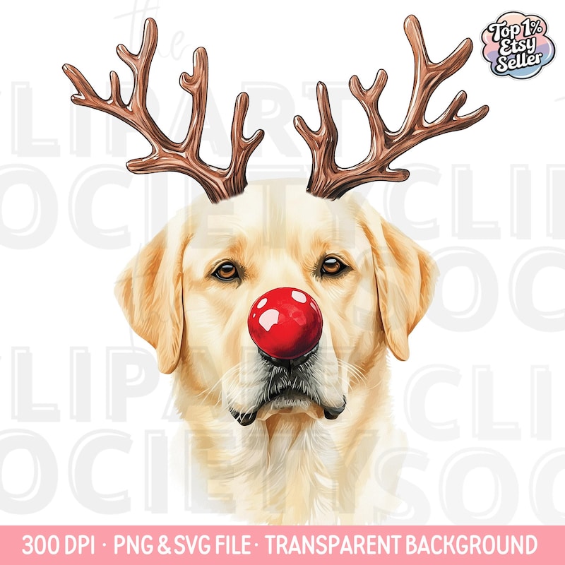 Vintage Yellow Lab Decor - Etsy