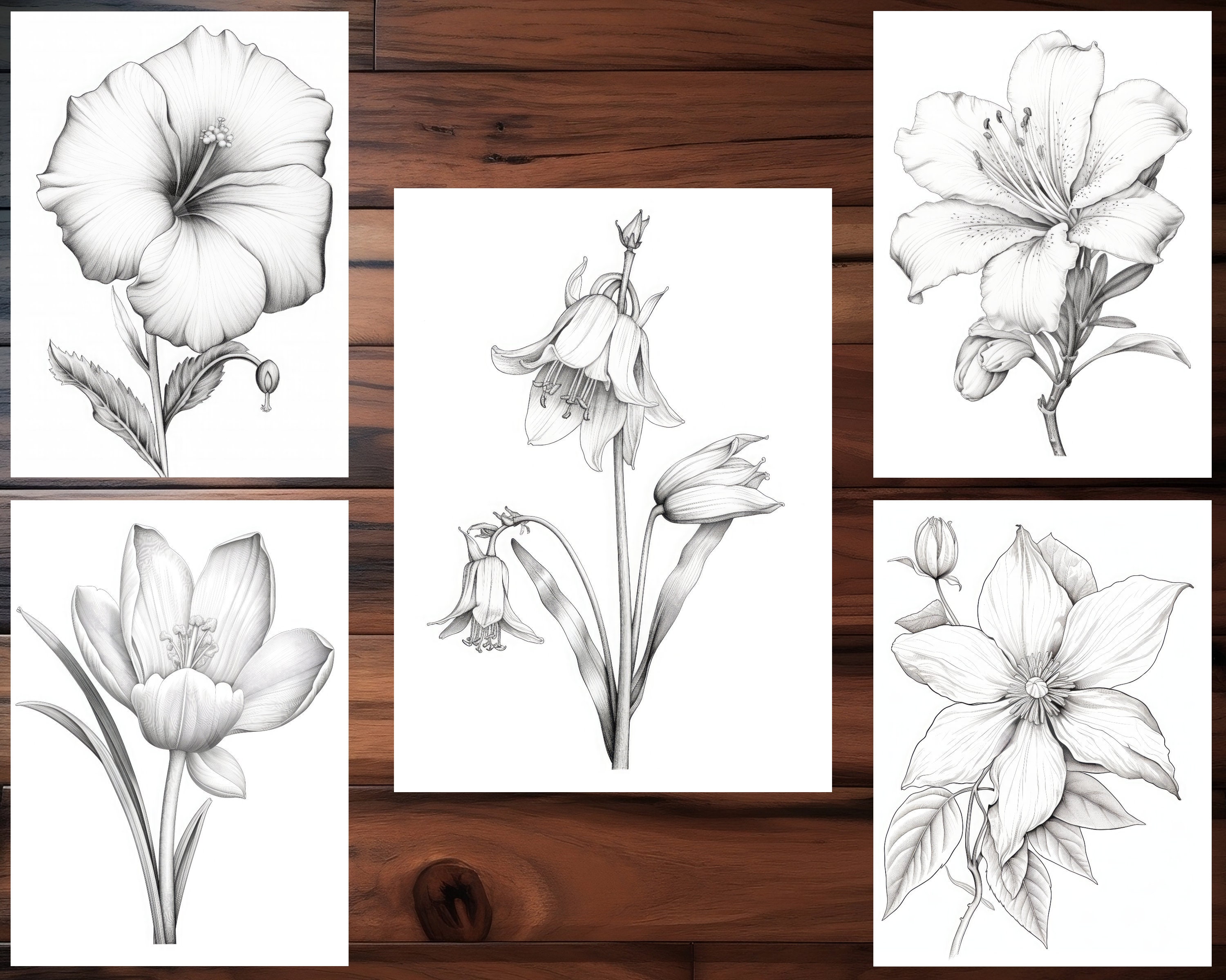 17 Flowers With Names Coloring Book 2, Adults Kids Instant Download ...