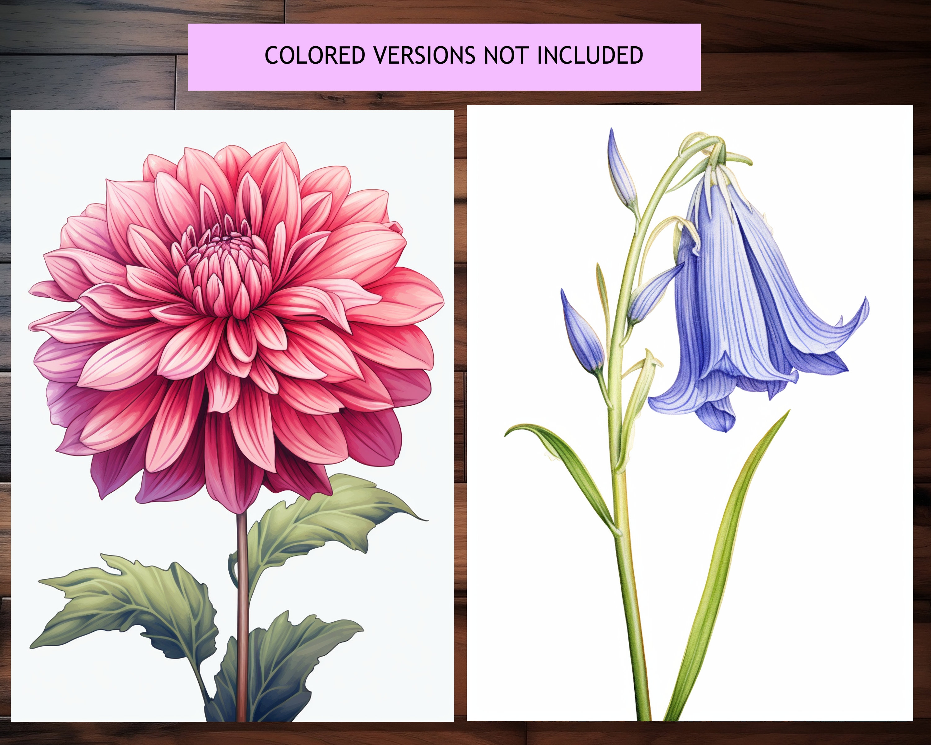 17 Flowers With Names Coloring Book 2, Adults Kids Instant Download ...