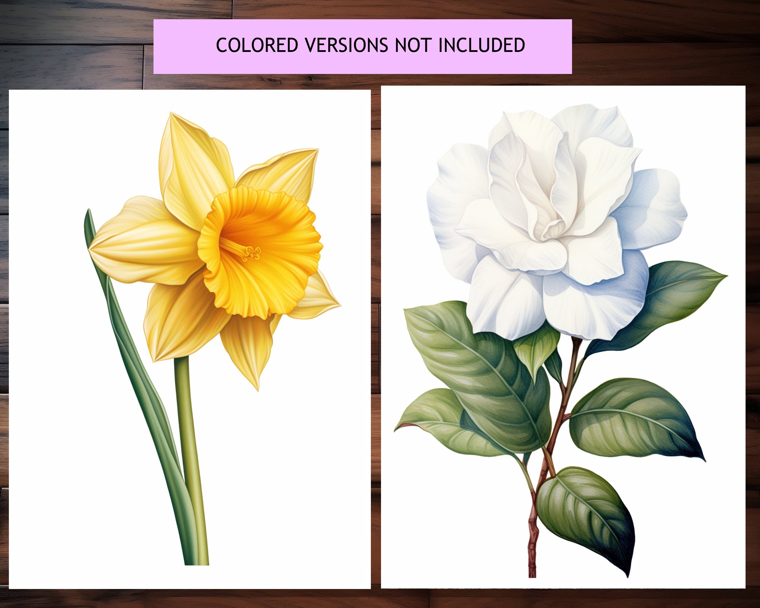 17 Flowers With Names Coloring Book 2, Adults Kids Instant Download ...