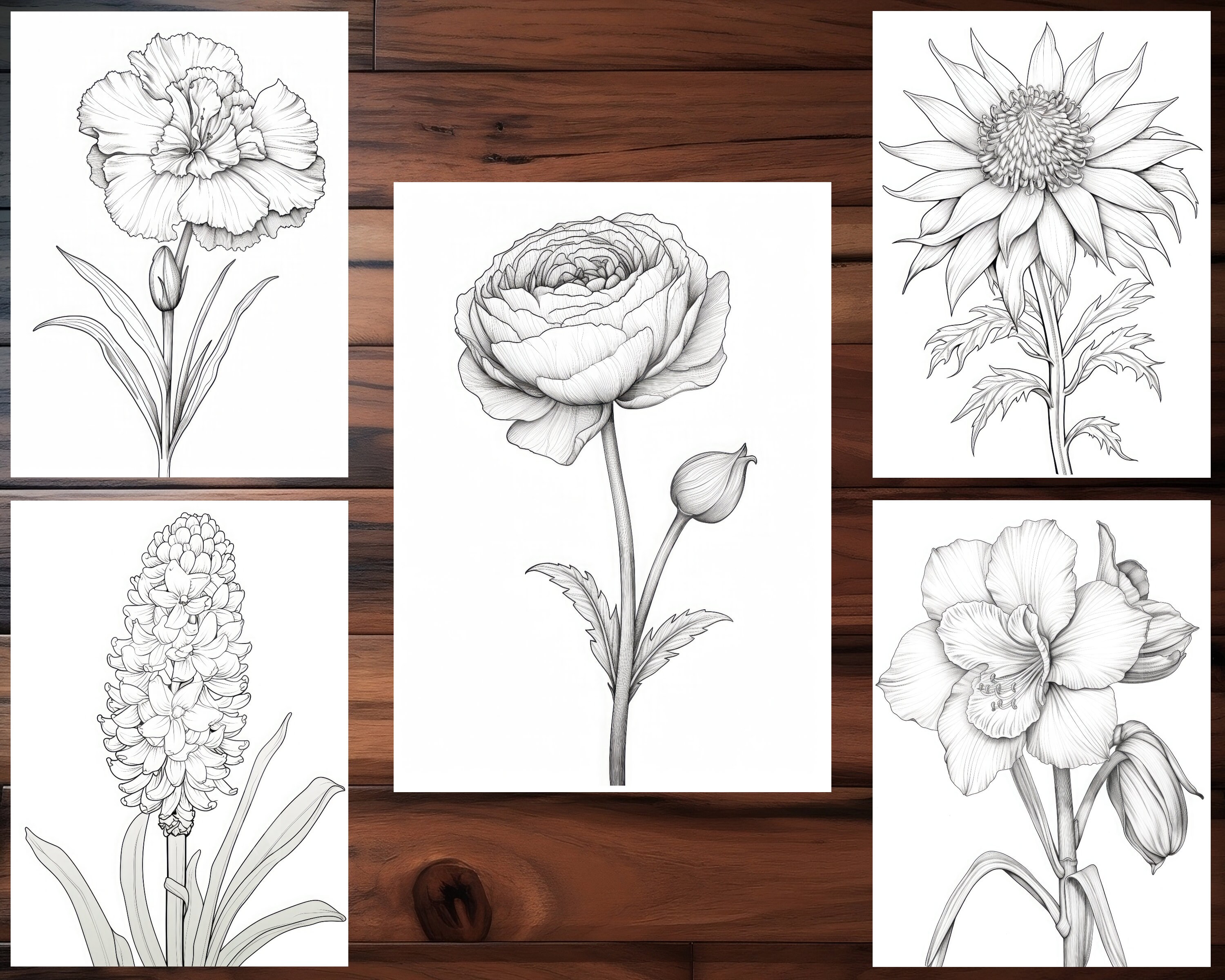 17 Flowers With Names Coloring Book 2, Adults Kids Instant Download ...