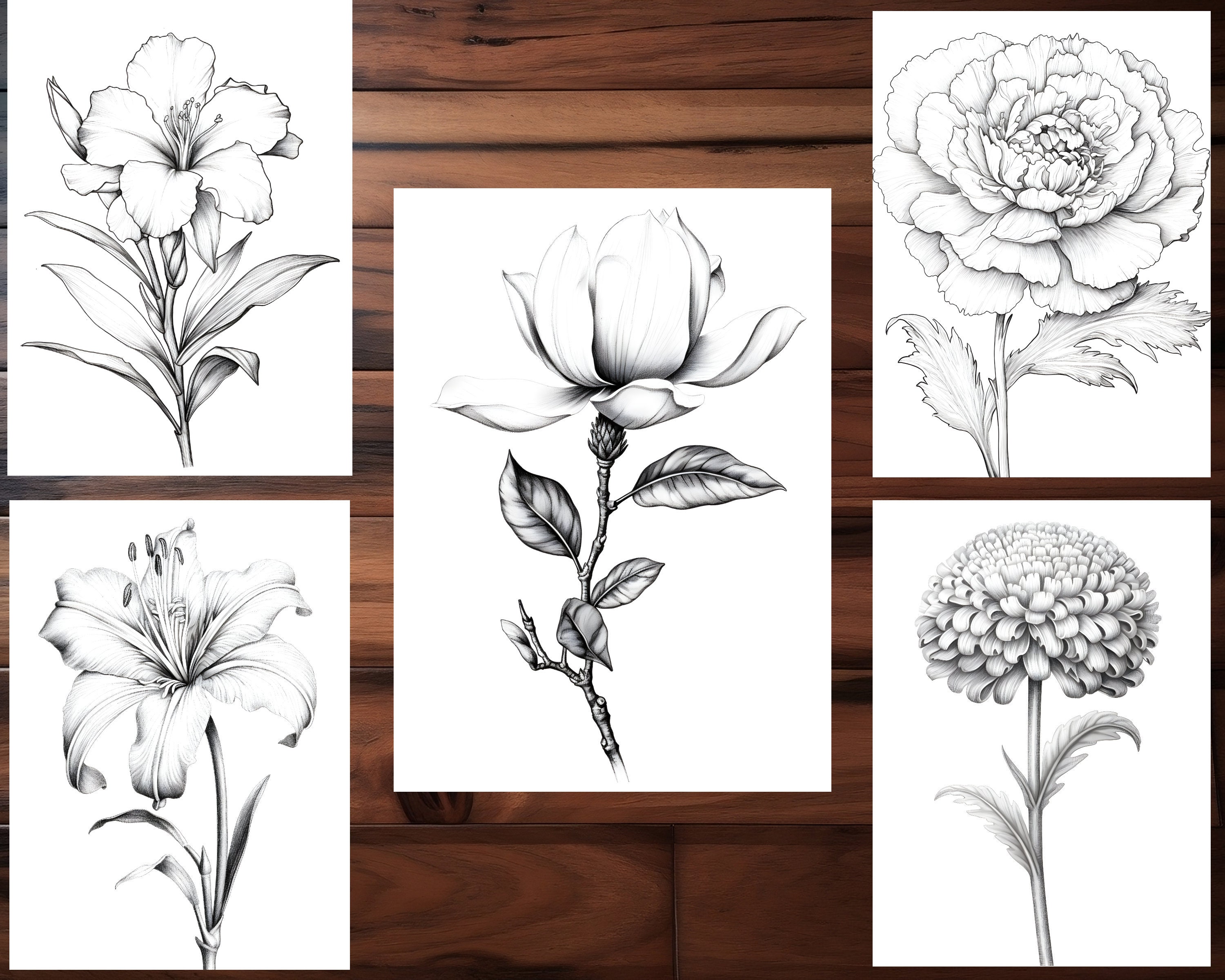 27 Flowers With Names Coloring Book, Adults Kids Instant Download ...