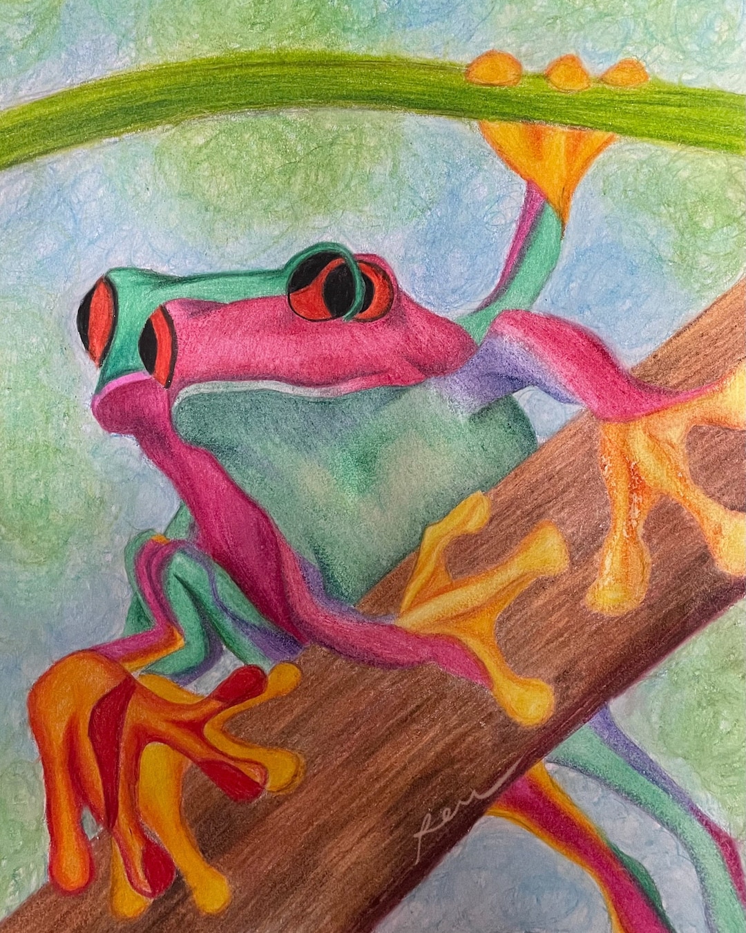 La Rana Color Pencil Print / Colorful Trippy Tree Frog Animal Drawing ...