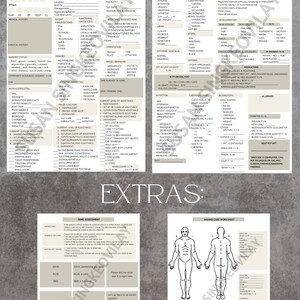 OASIS - E 2023 ULTIMATE BUNDLE *includes Oasis Soc, Recertification, Re ...