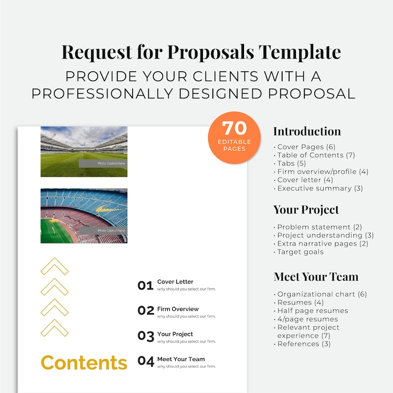 Request for Proposal Canva Editable Template | RFP Template Consulting ...
