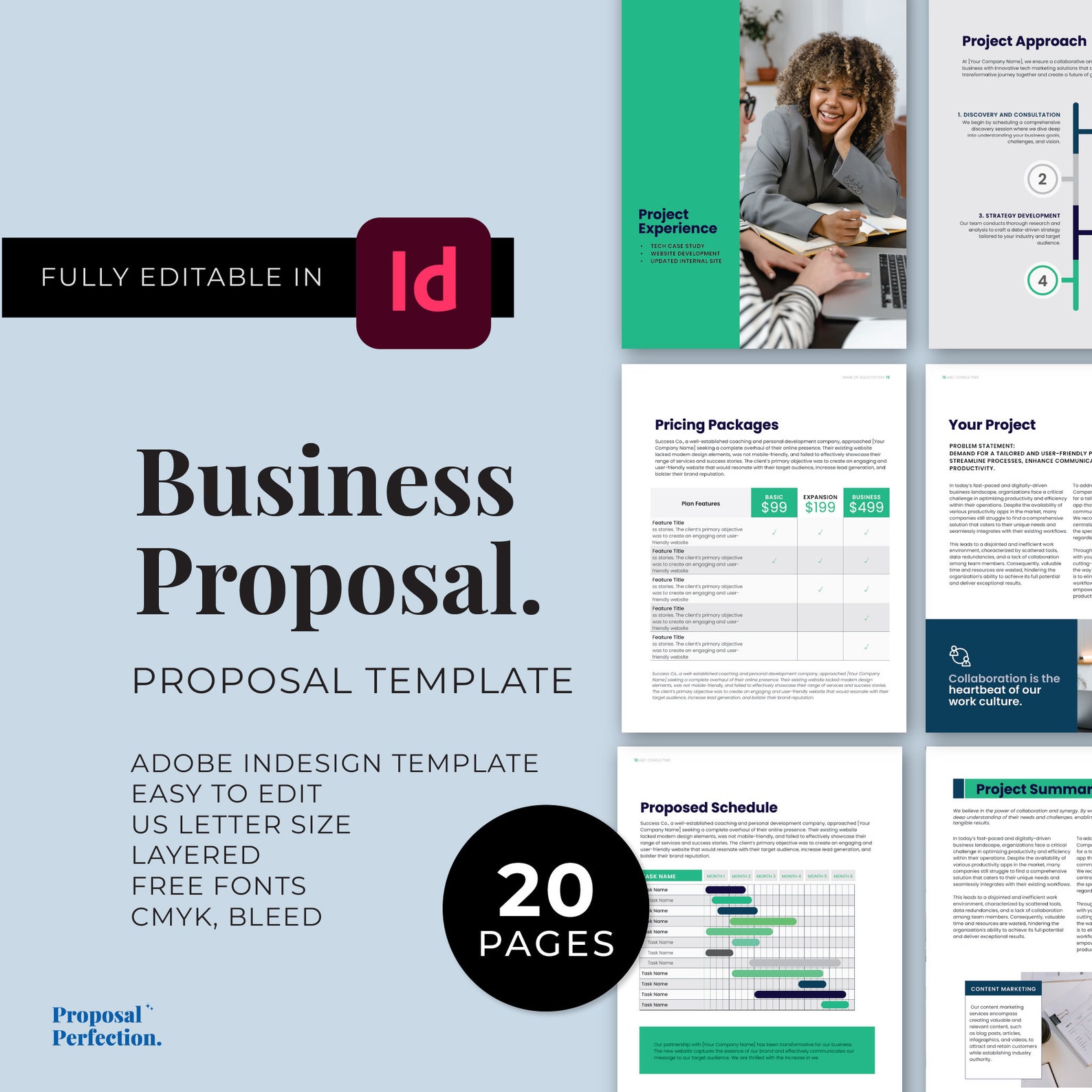 Adobe Indesign Business Proposal/rfp Template for Digital Services ...