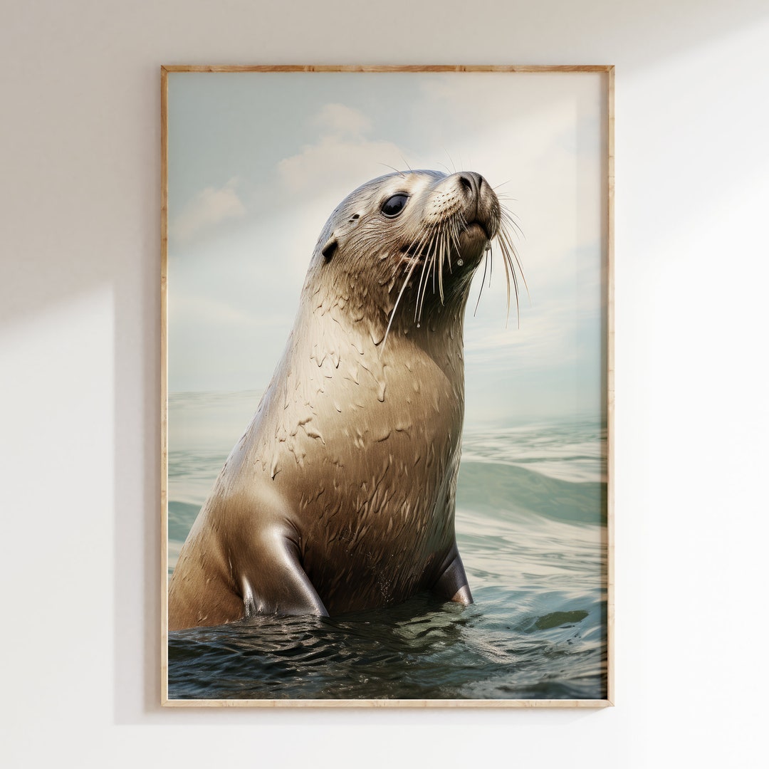 Seal Floating in Ocean - Etsy