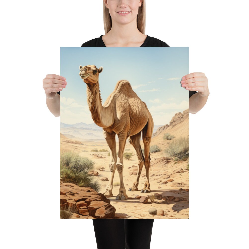 Camel in the Desert Portrait Vintage Color Art Print Mid Century Modern ...
