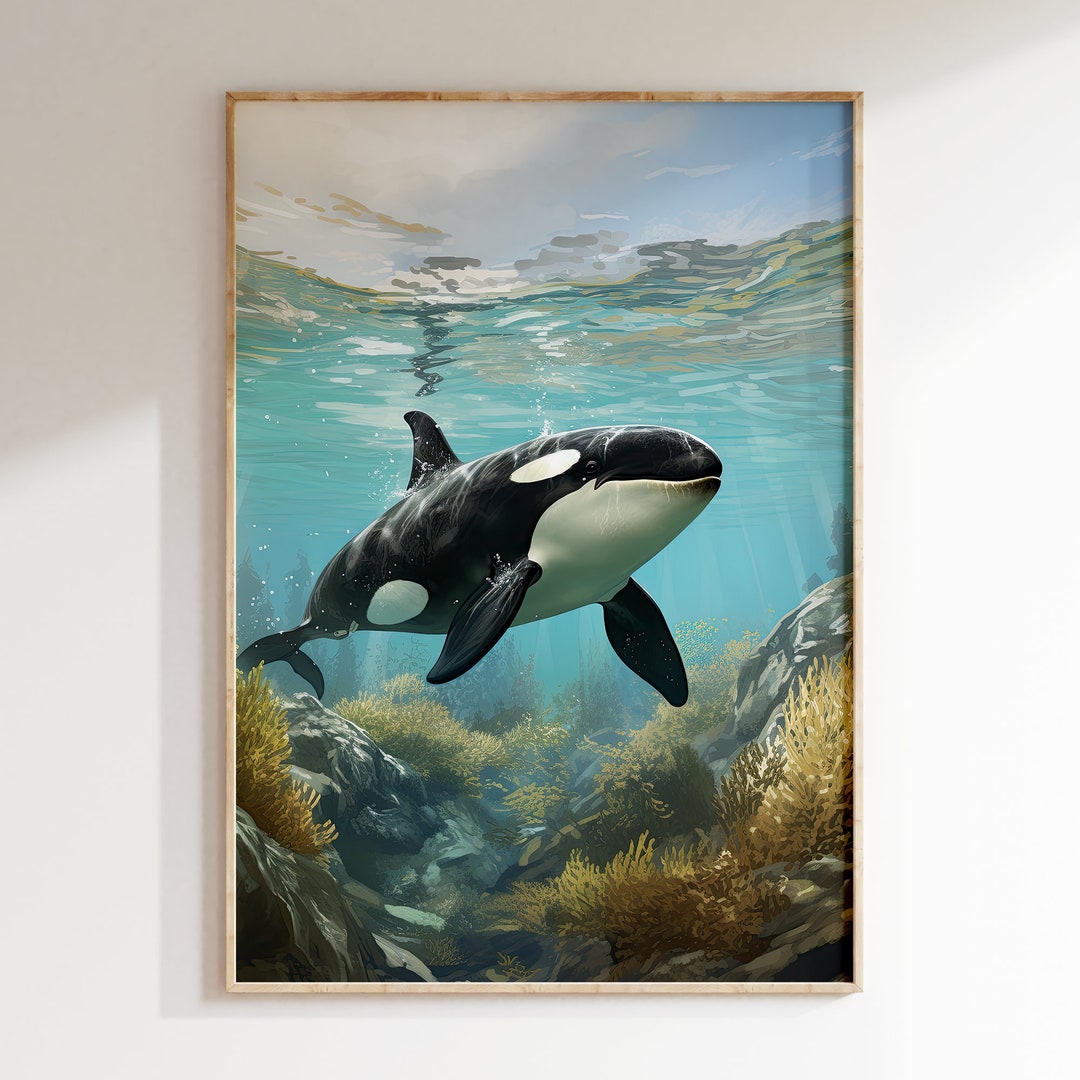 Orca Killer Whale Submerged Underwater Portrait Vintage Color Art Print ...