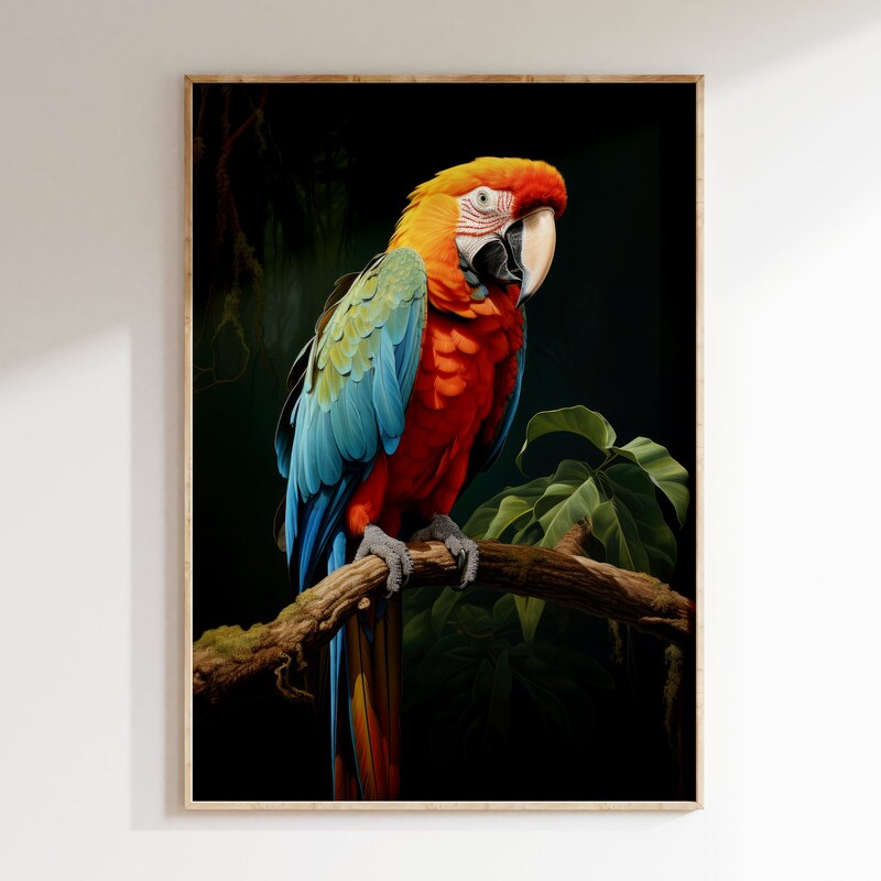 Macaw Poster - Etsy