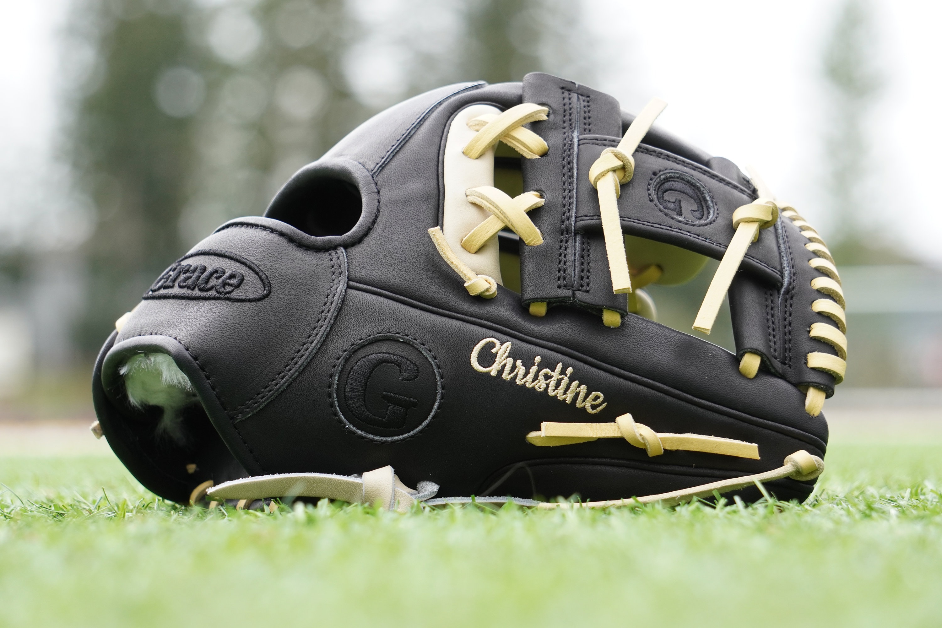 Custom Baseball & Softball Glove - Youth or Adult - Etsy