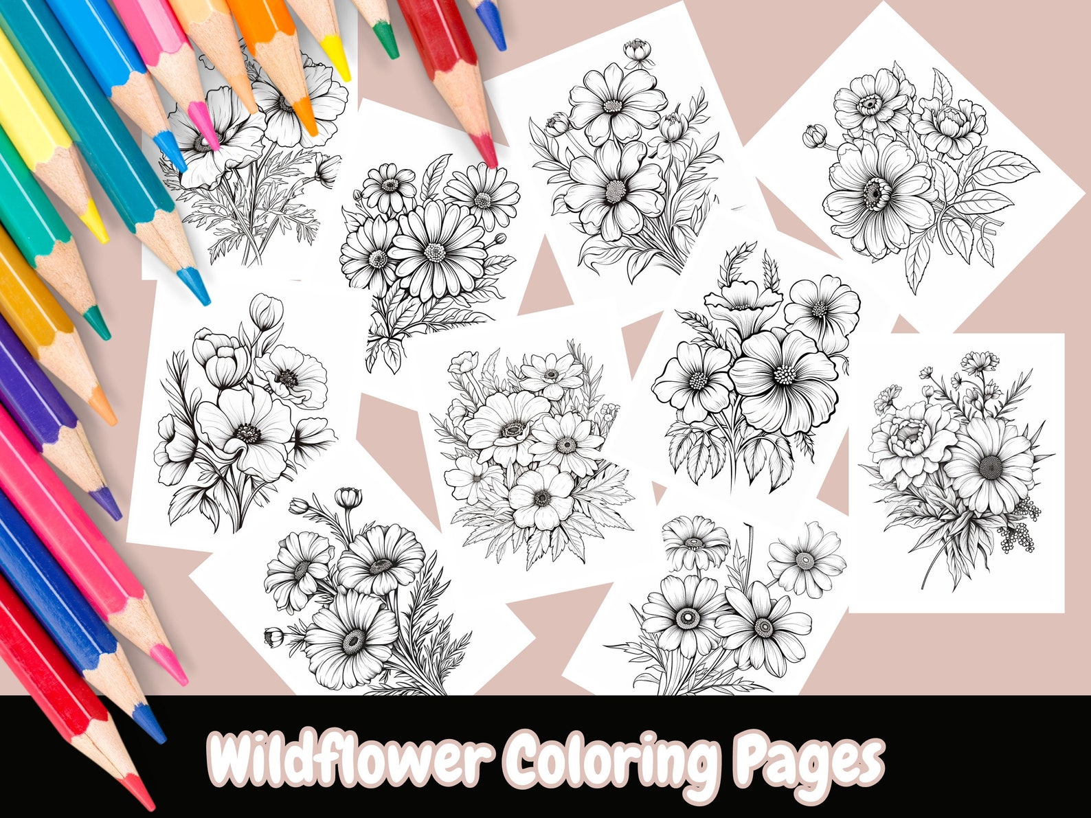 Wildflower Coloring Pages, Adult Coloring, Coloring Pages for Adults ...