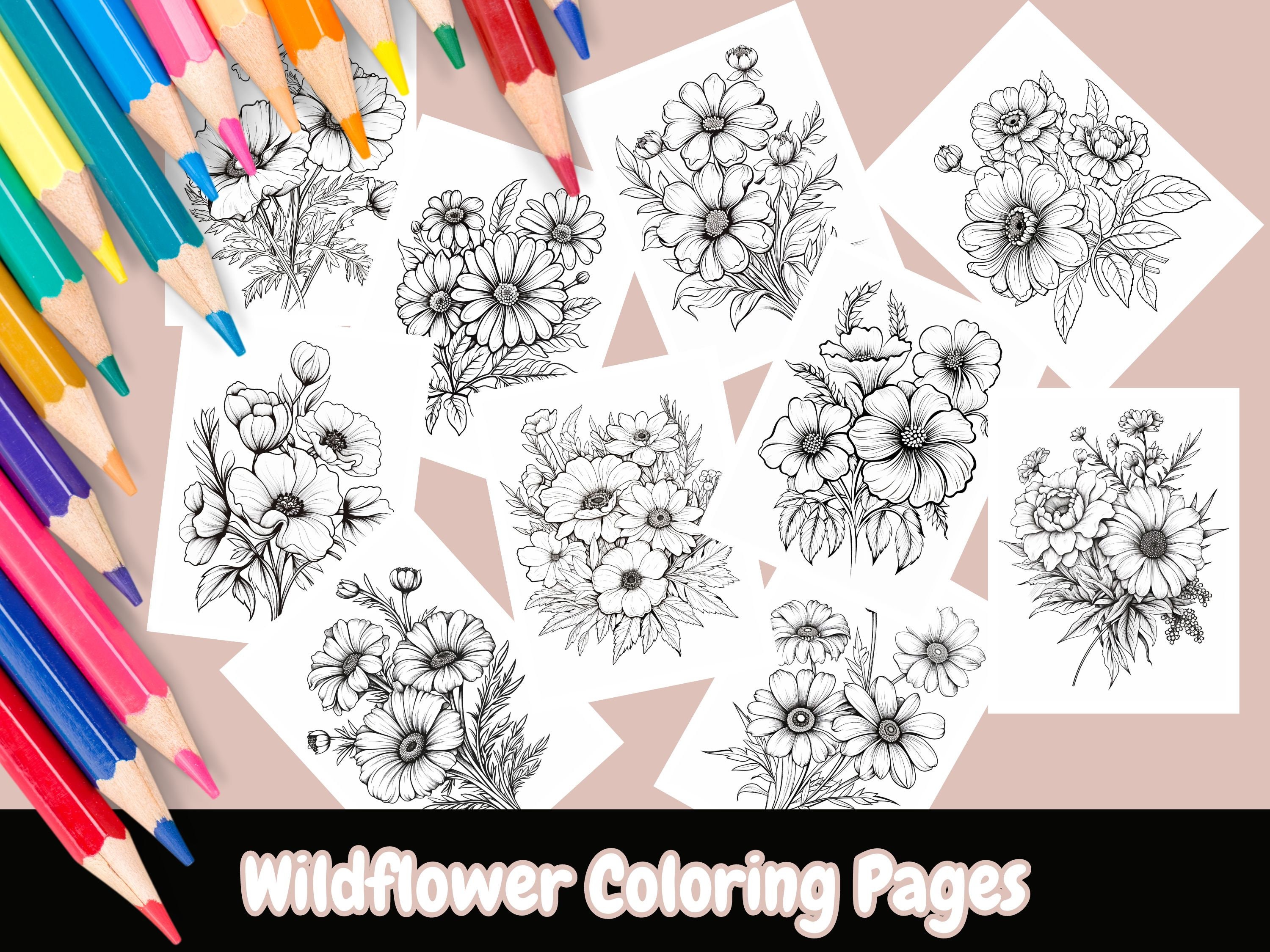 Wildflower Coloring Pages, Adult Coloring, Coloring Pages for Adults ...