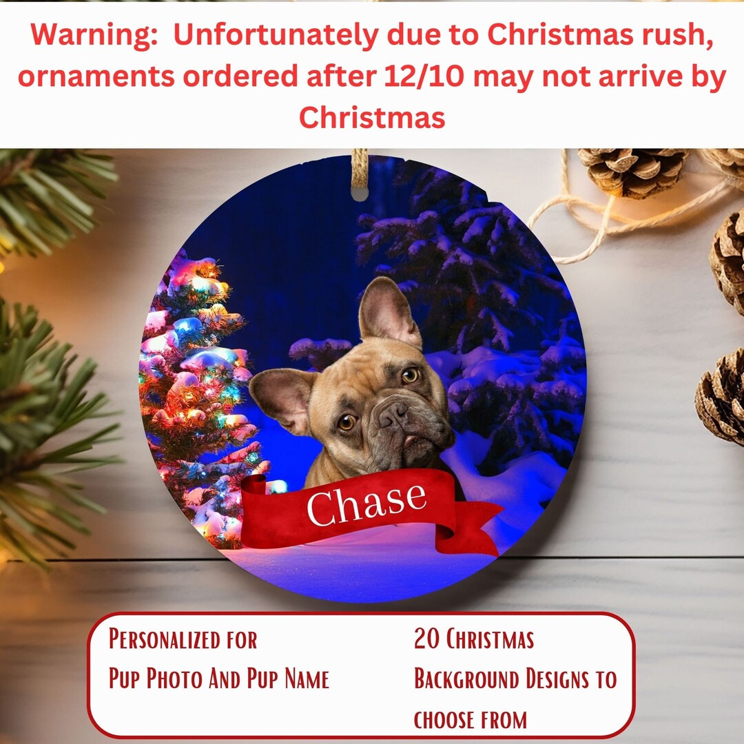 Personalized Frenchie Ceramic Ornament,custom Dog Photo Ornament,,dog ...